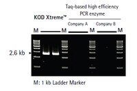 Novagen® KOD Polymerase PCR Systems - PCR & RT-PCR Kits & Reagents